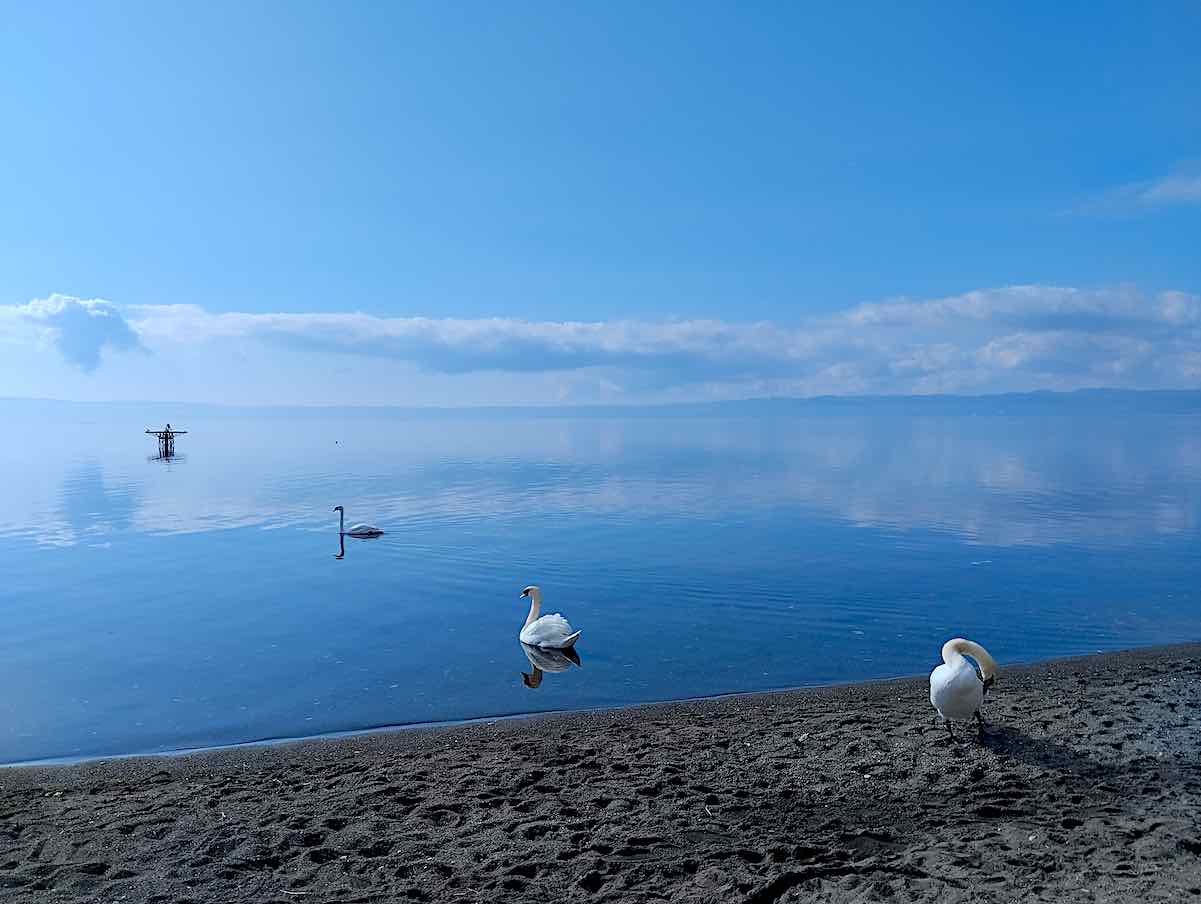 A Guide to Visiting Trevignano Romano, My Little Slice of Paradise
